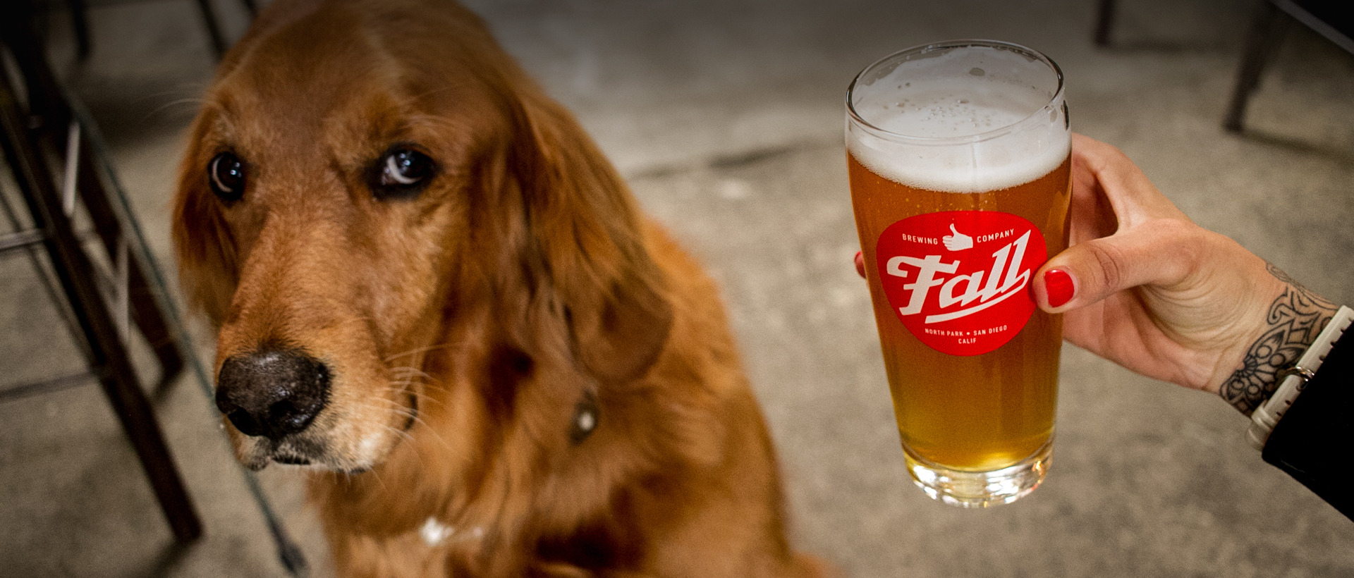 Fall Brewing Company - North Park - San Diego - CA